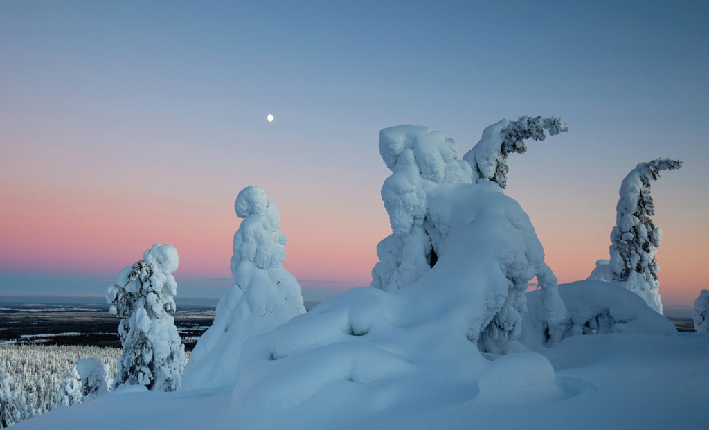 Frozen Sunset by Carsten Meyerdierks / 500px