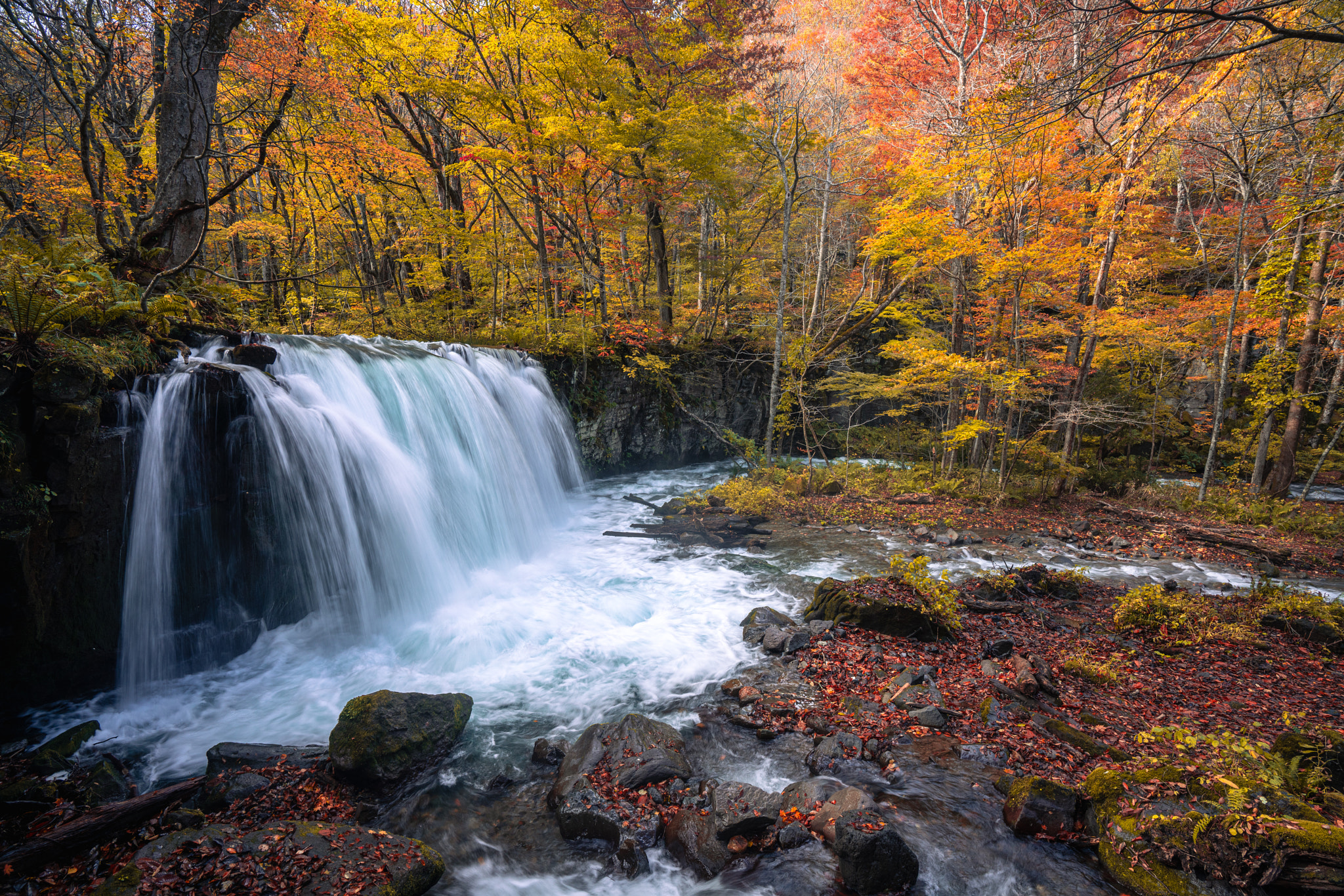 Choshi Otaki Waterfall, Oirase Gorge 奧入瀨溪流 - 銚子大瀑布 by Rex Chang / 500px