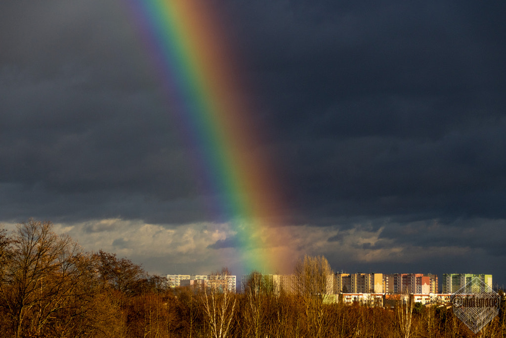 Somewhere over the rainbow. by Matt Maciej / 500px