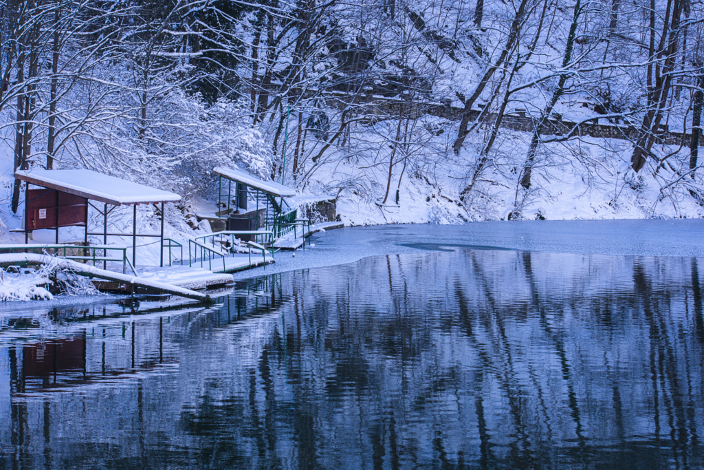 Silence of the winter by Katalin Bán / 500px