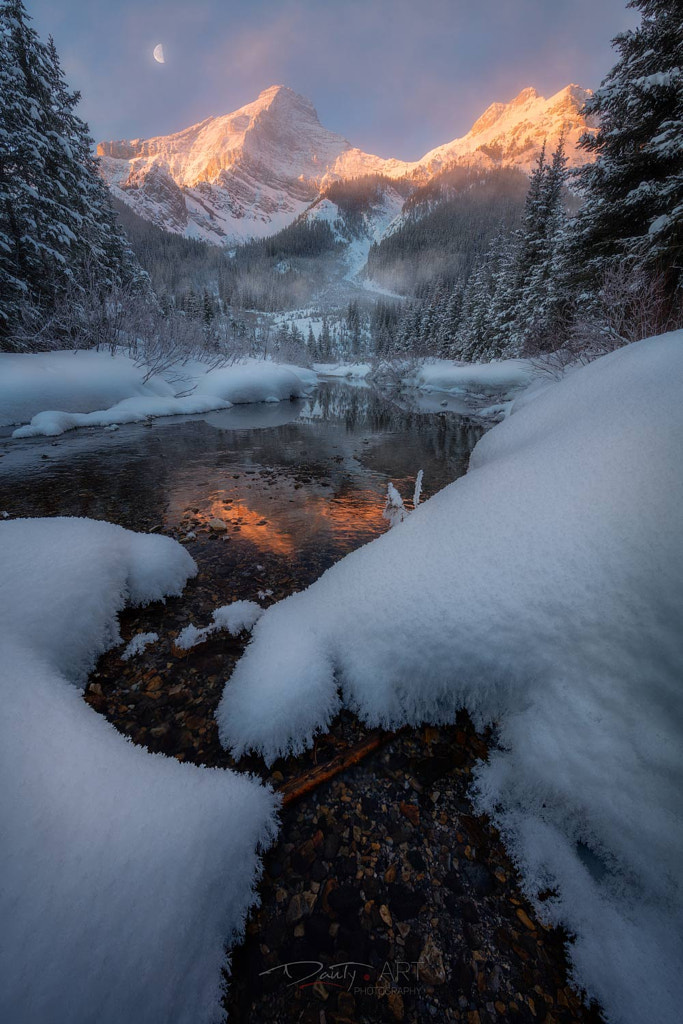 Pure Harmony by dantyartphotography / 500px