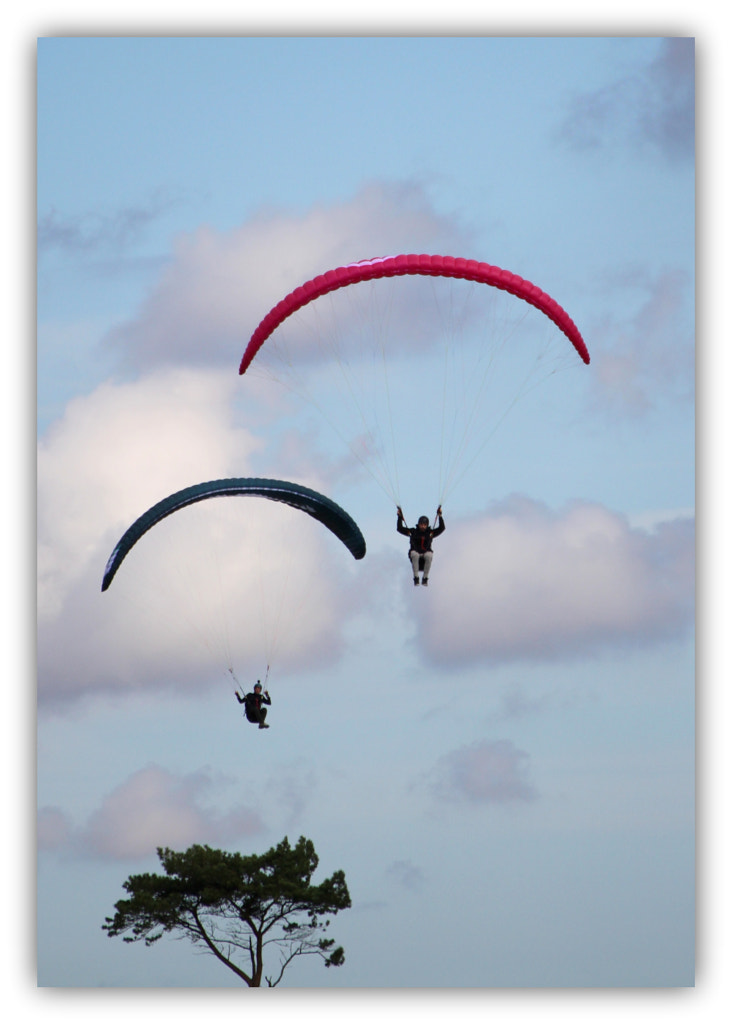 Pink & Black paraglider. by BRIAN / 500px