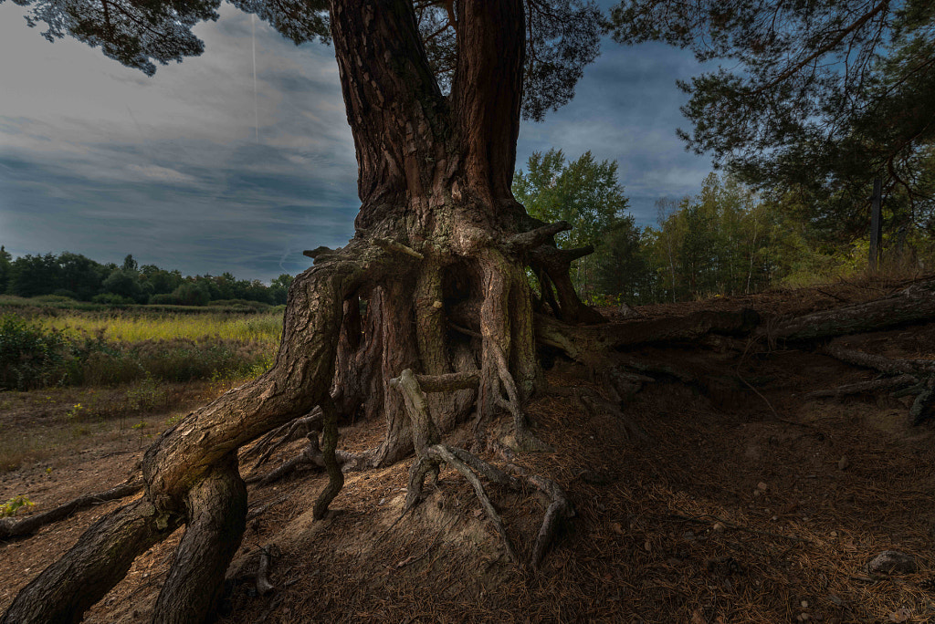 Strong by Peter Hahn / 500px