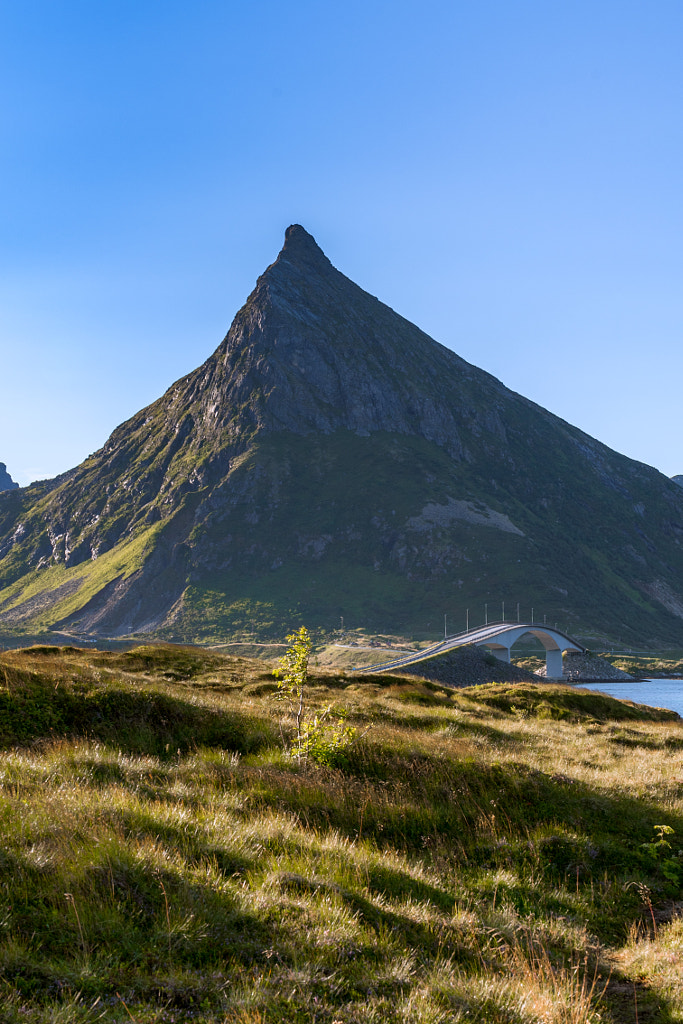 Norway landscape this summer, as seen on @simion.vase by Vasile-Simion ...