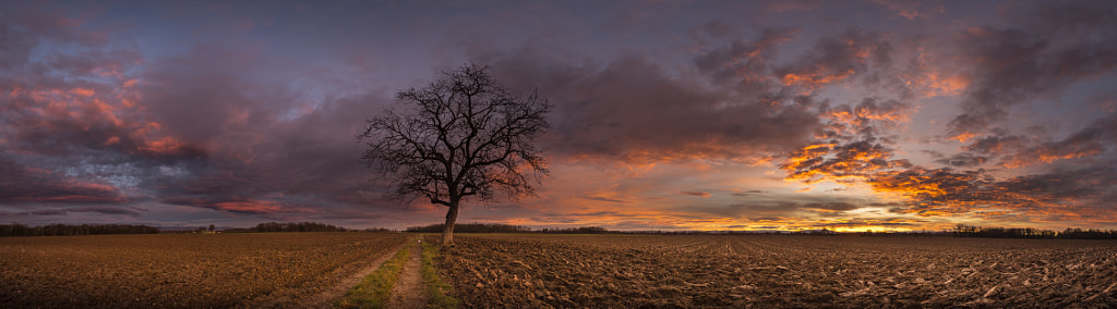 Morning glow by christian Spahn / 500px