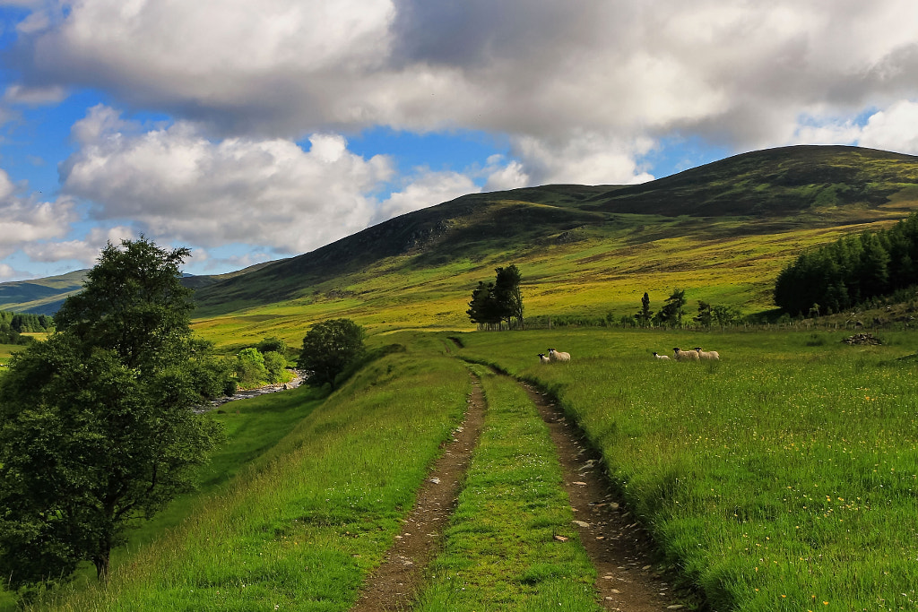 Scenic view of landscape against sky by Hilda Murray / 500px