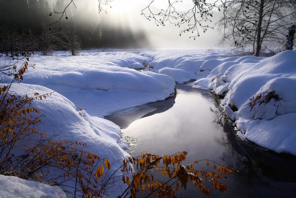 Wonderland by David Barkman / 500px