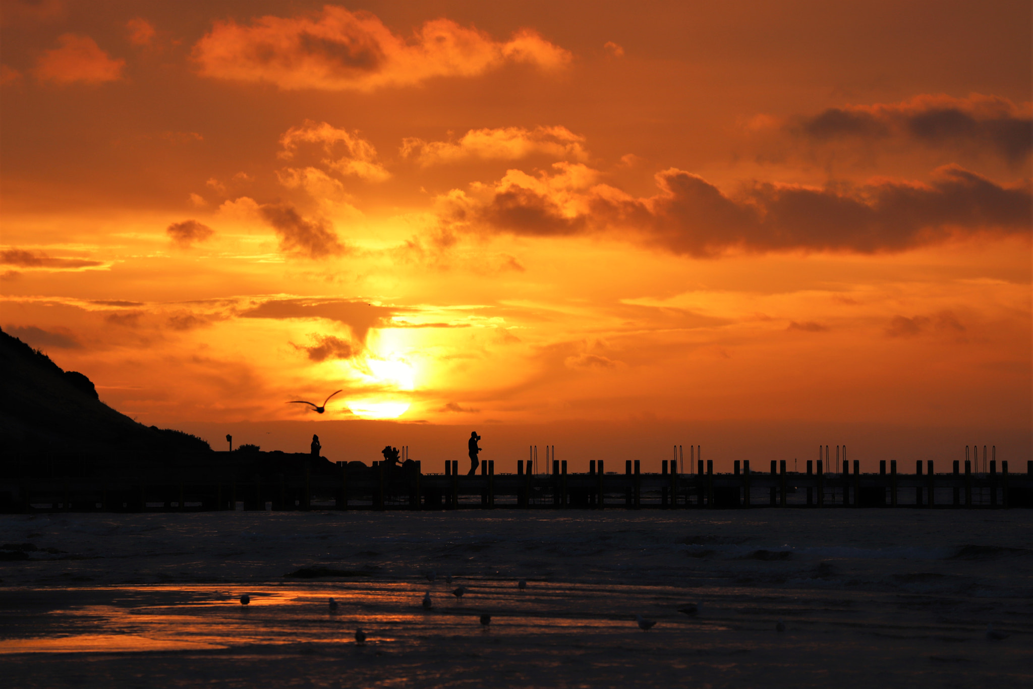 Golden Evening! by Bruce Prothero / 500px