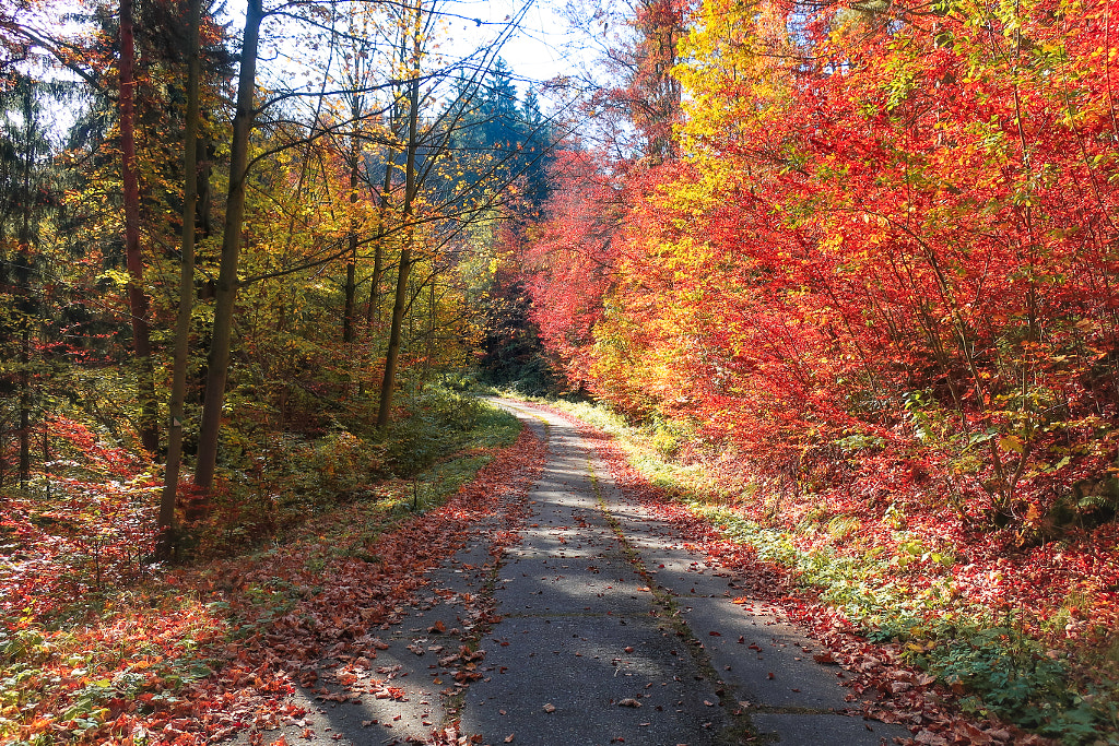 Tankovka na podzim by Martin Lach / 500px