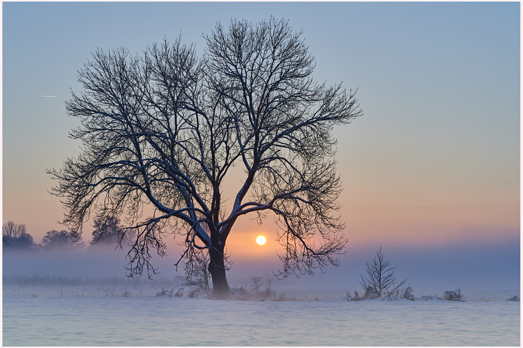 Cold sunset in winter nature by Matthias Fischer / 500px