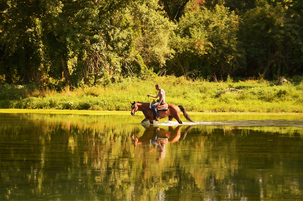 Man riding horse on river by Carlotta Ricci / 500px