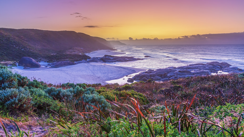 Ocean Beach by Camil Bicic / 500px