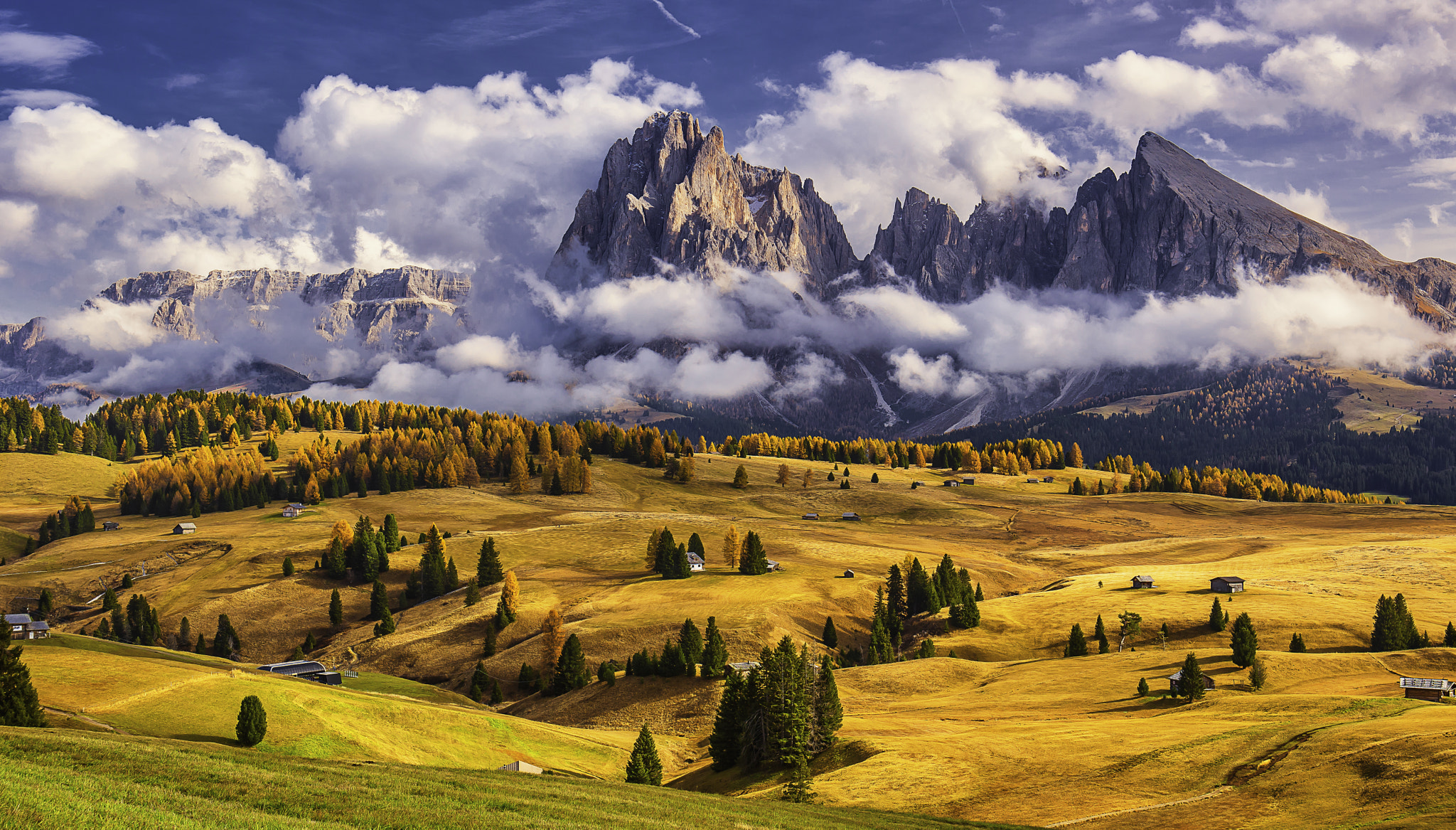 Italy, Alps, Dolomites, Alpe di Siusi, Fall Colors, 意大利, 阿尔卑斯, 多洛米蒂山 ...