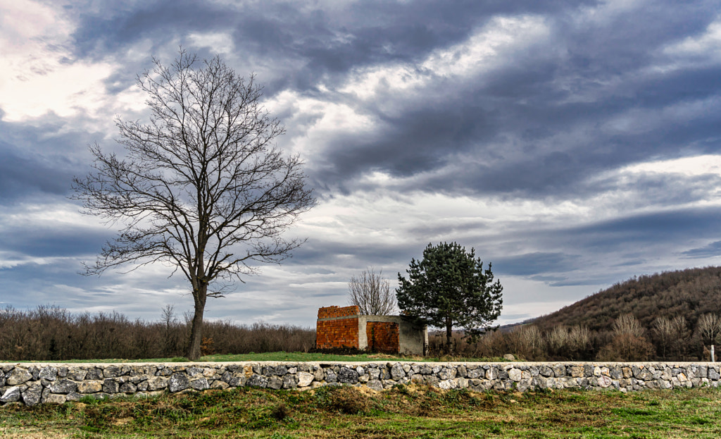 Stone Wall, Trees and Spectacular Sky..... by Ismail CALLI / 500px