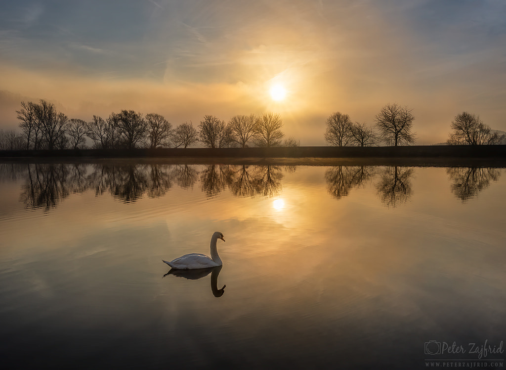 In the morning sun by Peter Zajfrid / 500px