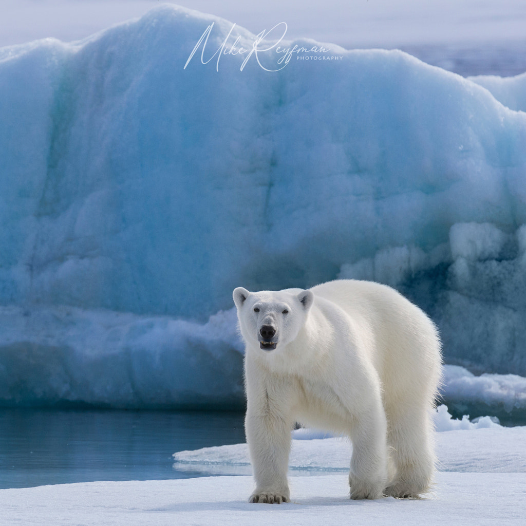 Svalbard-Spitsbergen. Summer in the Arctic Circle by Mike Reyfman / 500px