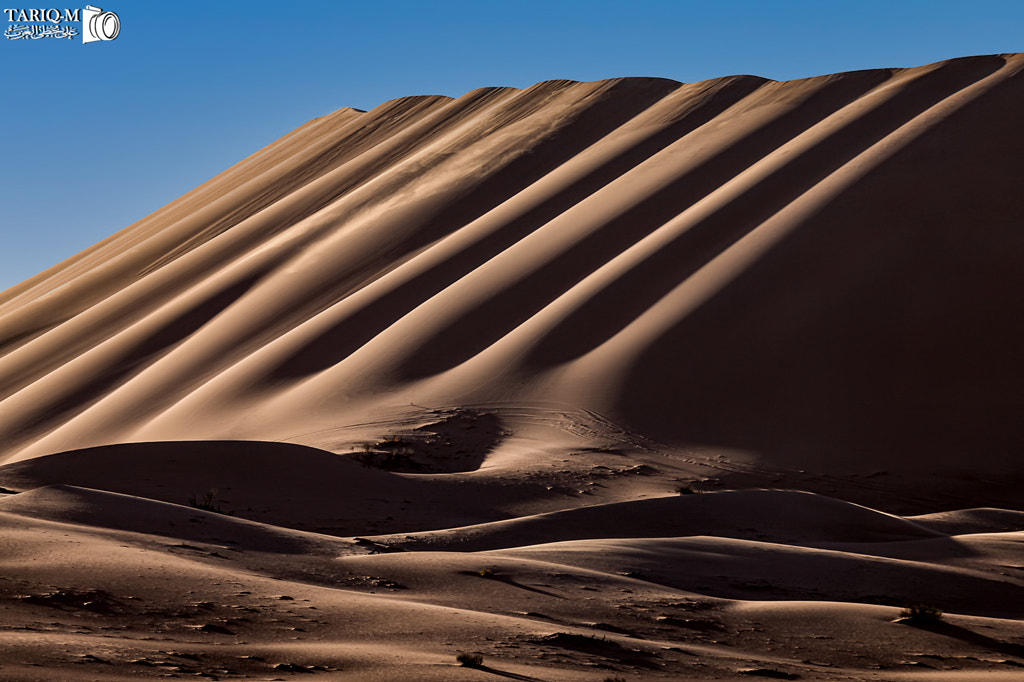 Dunes from Empty Quarter is the largest (continuous) sand desert in the ...