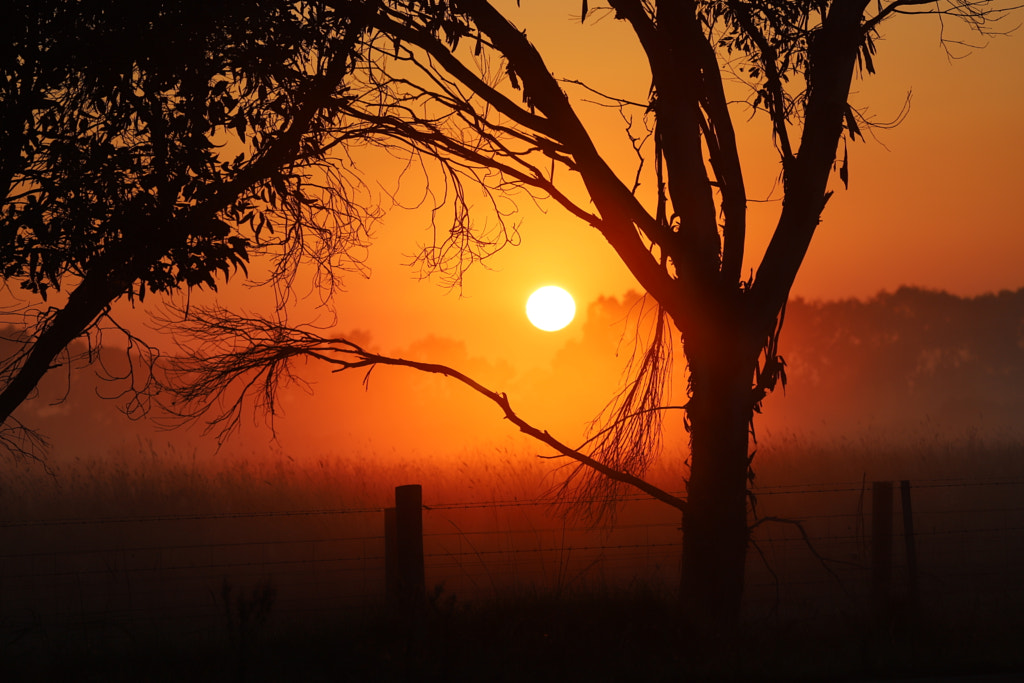 Morning Light! by Bruce Prothero / 500px
