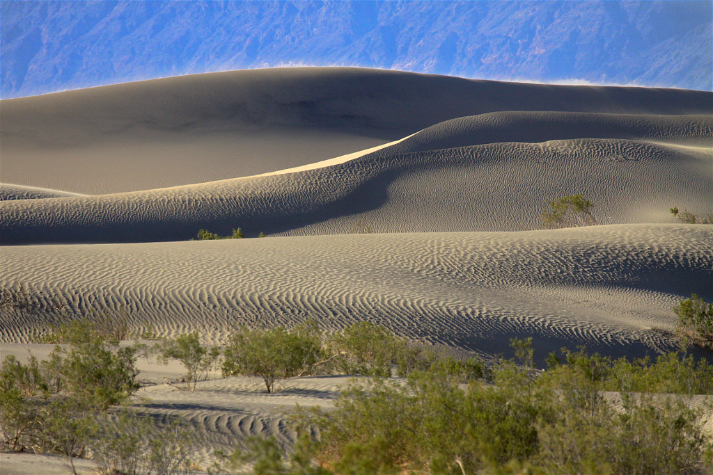 The Wave by Joseph Urgo / 500px