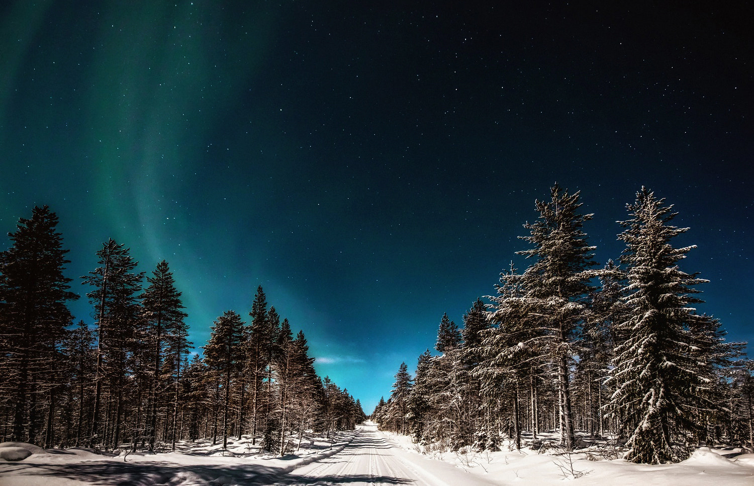Moonlight Mood by Carsten Meyerdierks / 500px