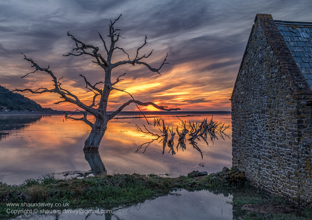 High tide sunset - Porlock Marsh by Shaun Davey / 500px