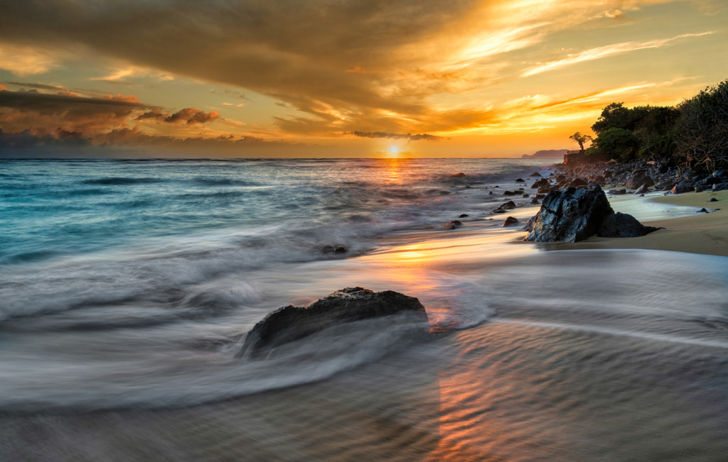 Morning Bliss by Warren Ishii / 500px