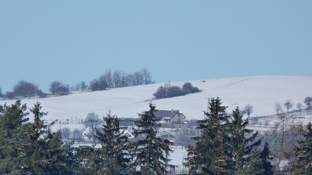 Trees on snow covered field against clear sky by Ellen M / 500px