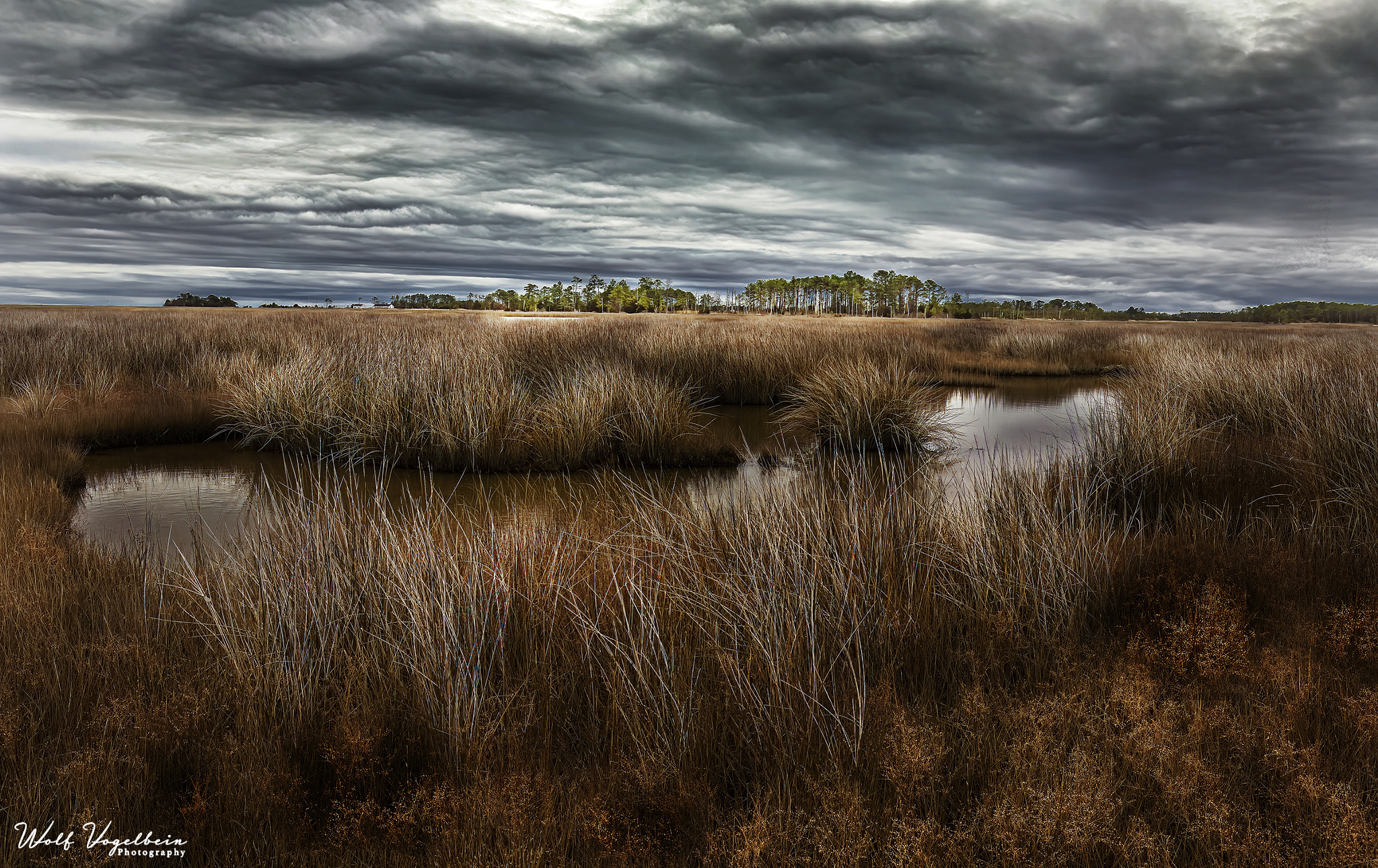 Vast Wetland Landscape Under a Cloudy Sky | landscape photo by Wolf ...