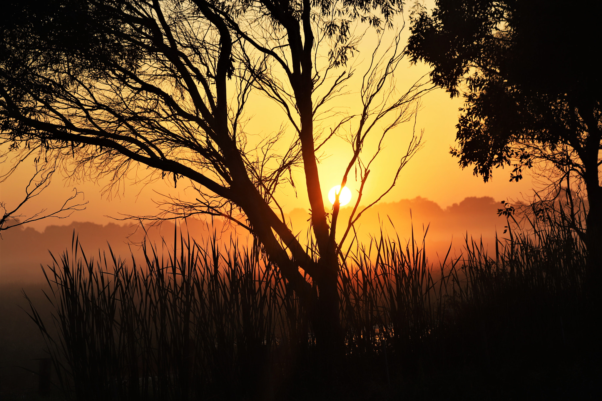 Morning Gold! by Bruce Prothero / 500px
