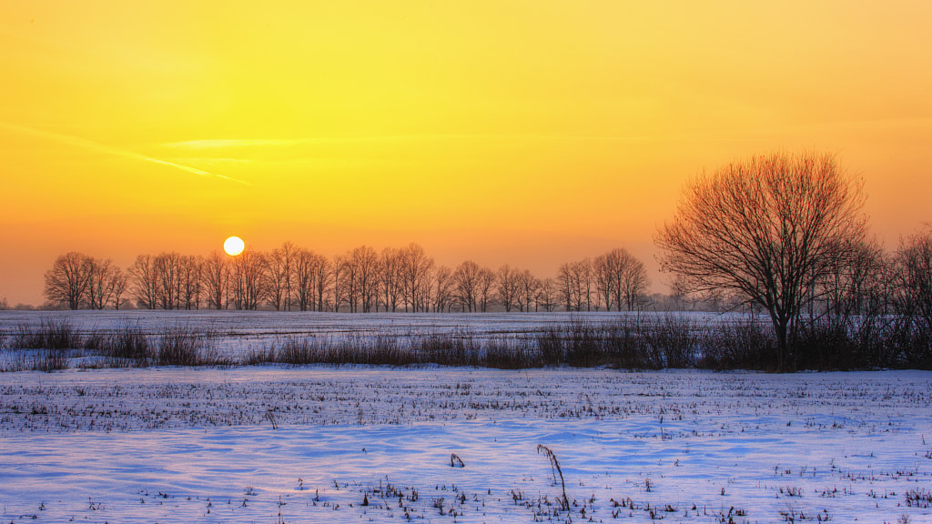 Sunset February 2021 by Alexander Sinitsky / 500px