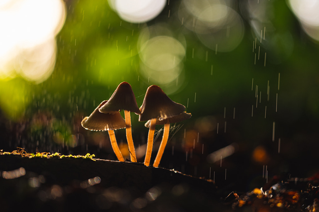 Shower by Roland Epting / 500px