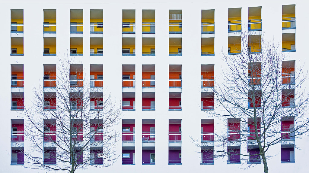 Colorful building behind bare trees by Juergen Photo A[R]T / 500px