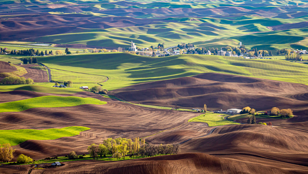 When it's Springtime in the Palouse! by Keith D / 500px
