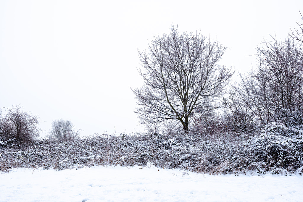 Na křemeném valu by Martin Lach / 500px