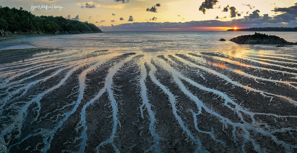 Beach Roots by Björn Nehrhoff von Holderberg / 500px