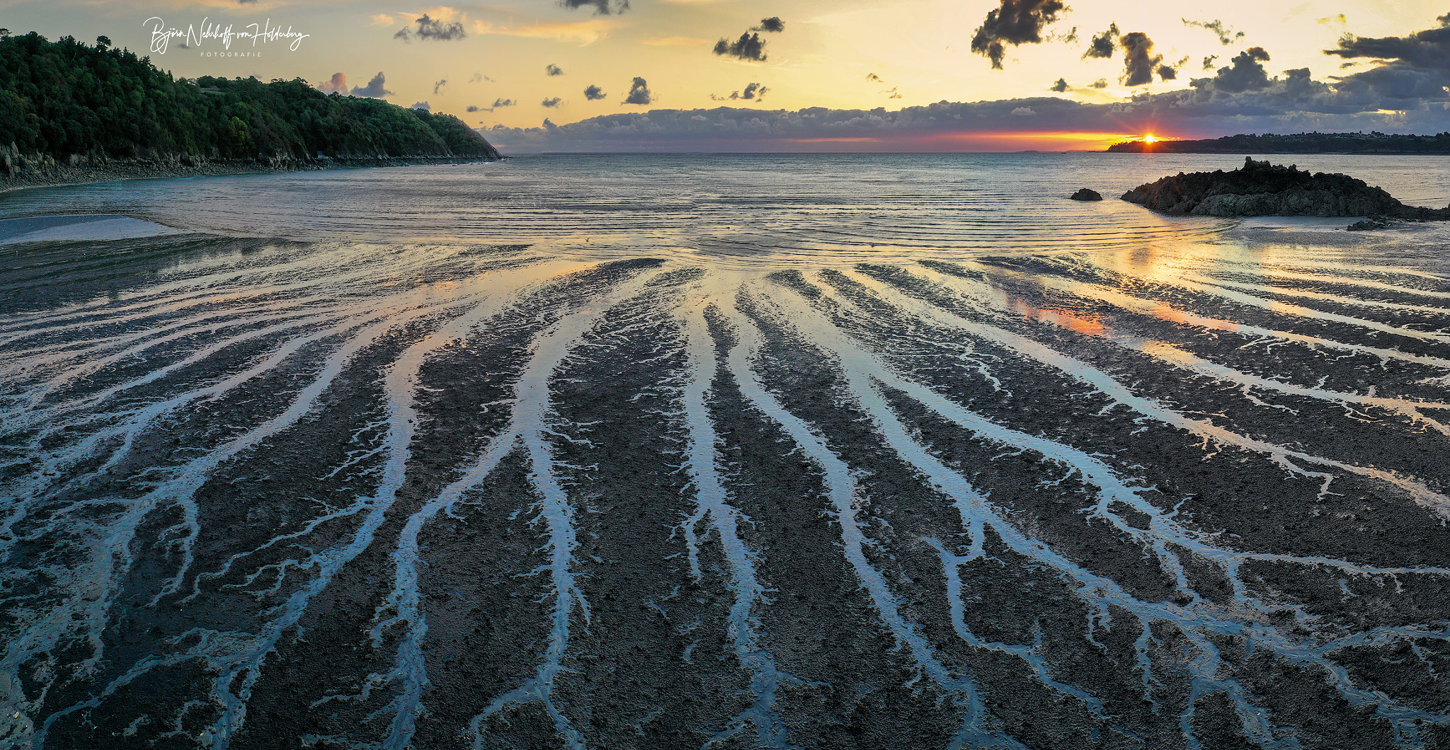 Beach Roots by Björn Nehrhoff von Holderberg / 500px