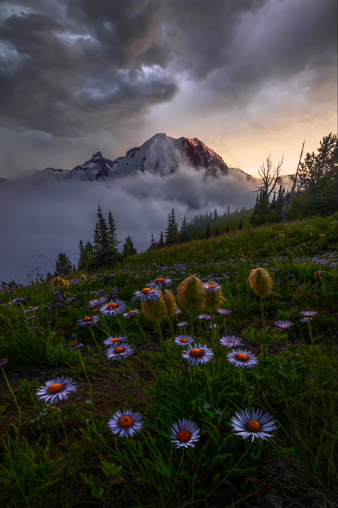 The Watchers by Ryan Dyar / 500px