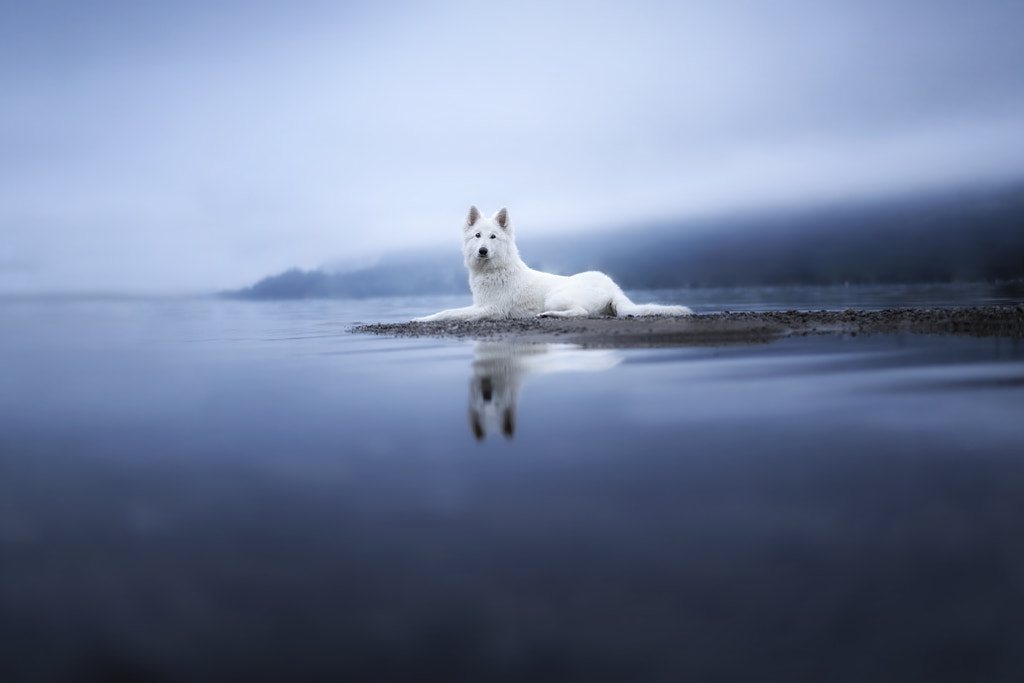 deep blue by Anne Geier / 500px