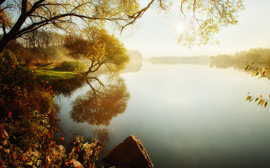 Very sunny morning by Alexander Sinitsky / 500px