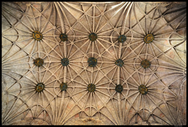 Intricate Gothic Vaulted Ceiling Architecture | city photo by Mattia ...