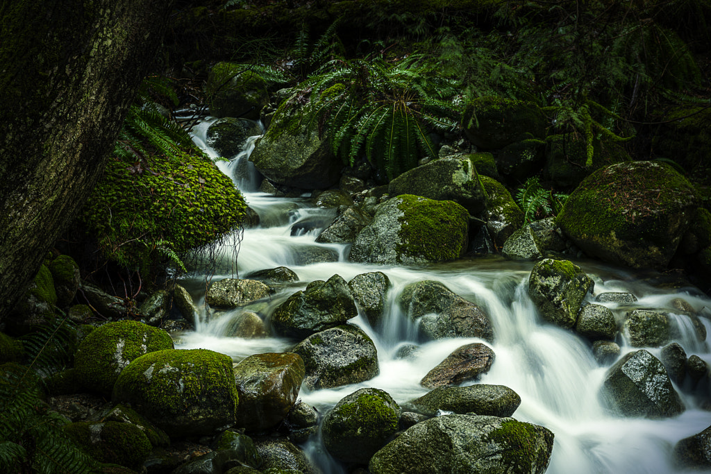 Waterfall in the Rain by Stephanie Shen / 500px