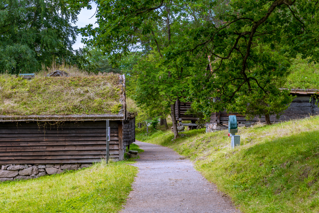 Norway landscape this summer, as seen on @simion.vase by Vasile-Simion ...