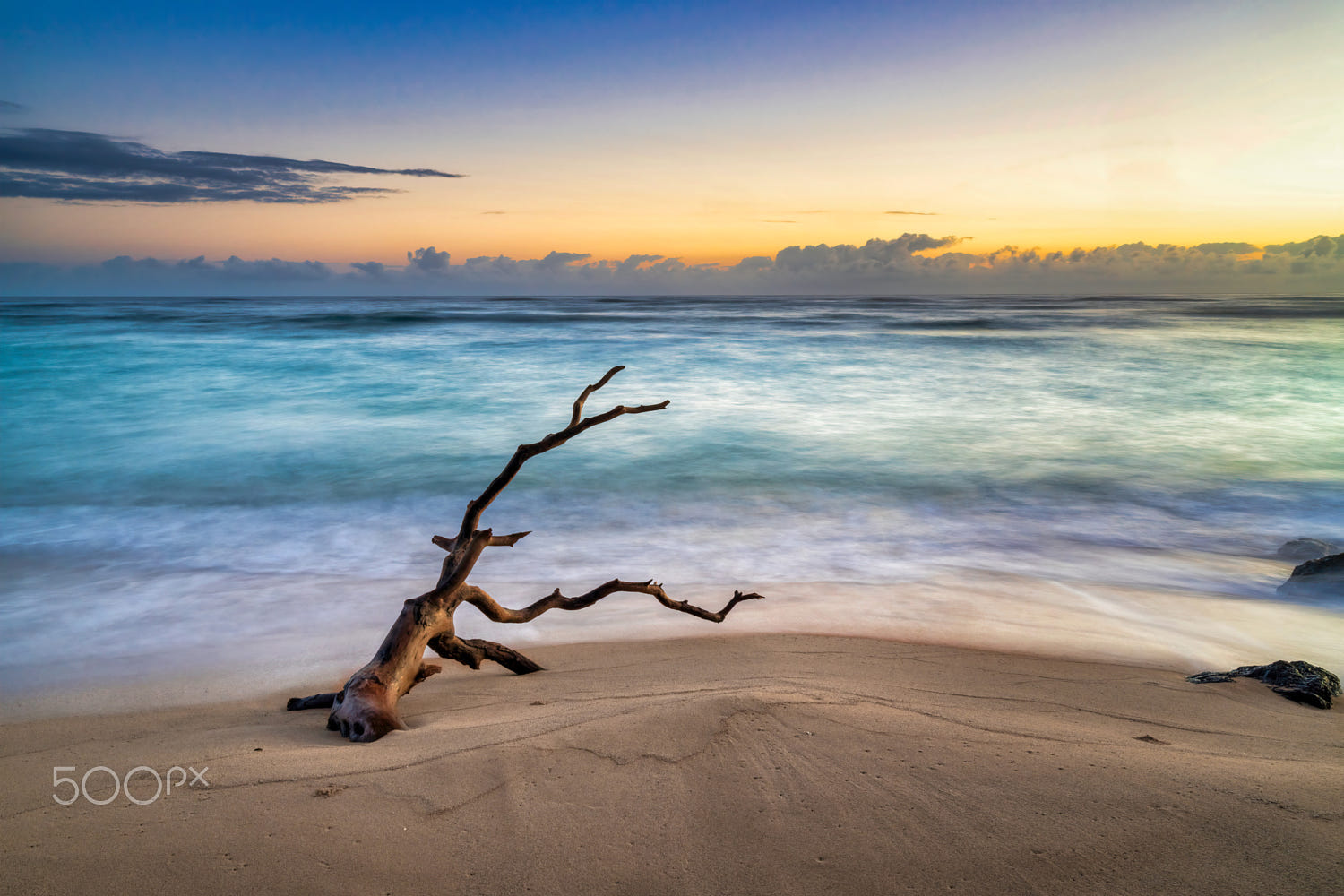 Morning Joy by Warren Ishii / 500px