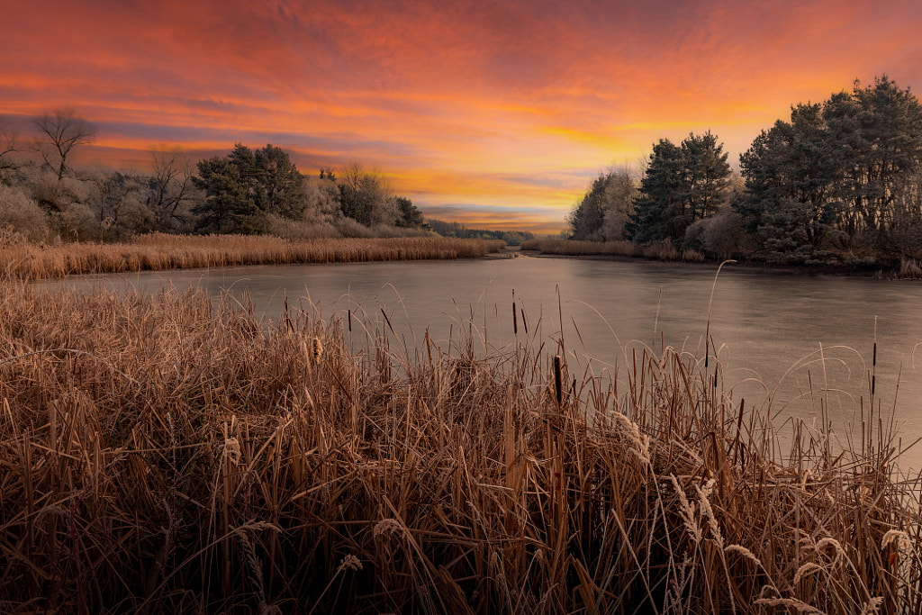 Forest lake by Sergey Fedoskin / 500px