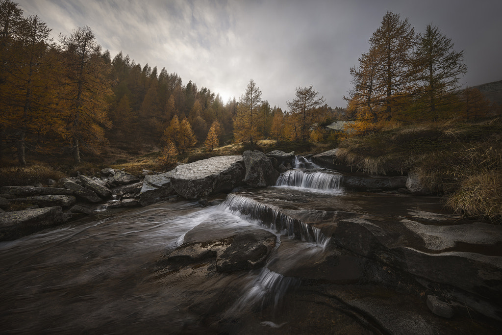 Autumn's flow by Marco Gelpi / 500px
