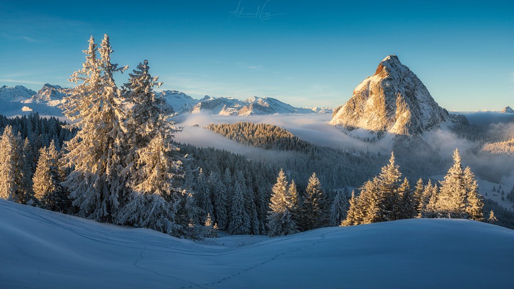 Winter Dream, Swiss Alps by Adrian Nigg / 500px