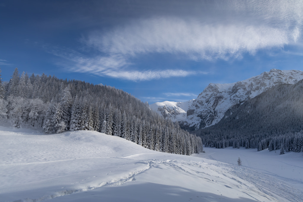 The LIttle Meadow Valley by Maciej Ligas / 500px