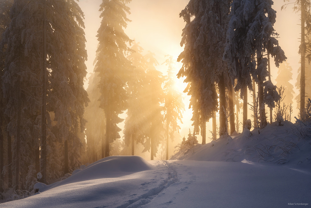 Snowshoe Hike into the Light by Kilian Schönberger / 500px