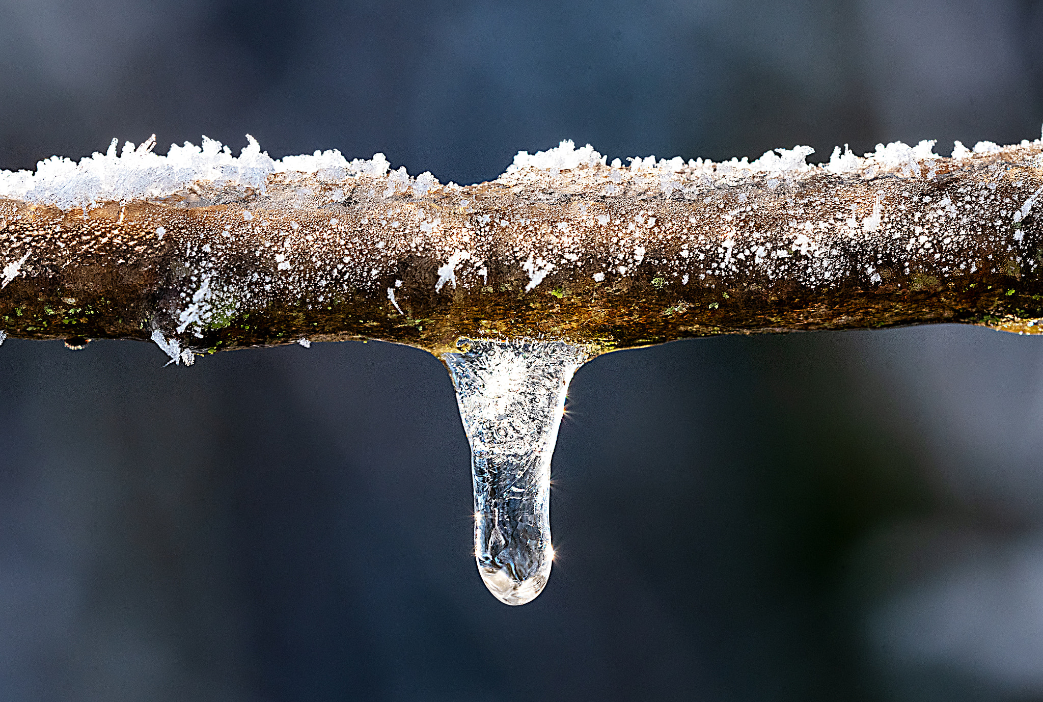 Frozen by Mathias Gempeler / 500px