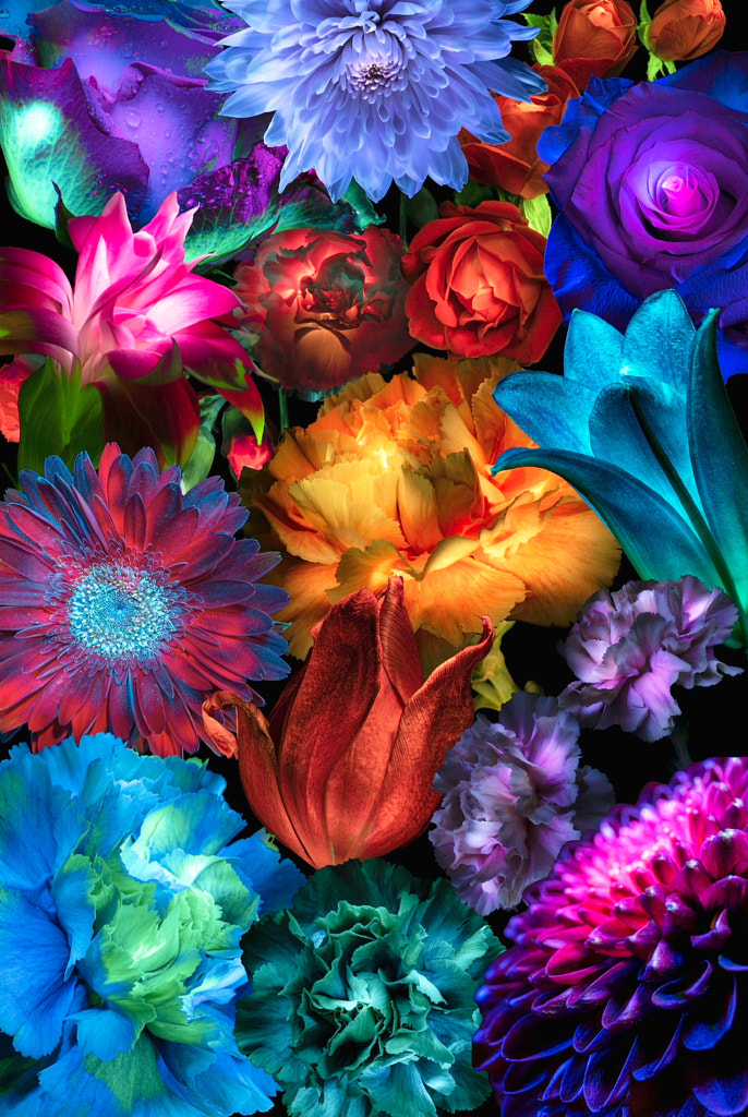 Flower collage by Filipp Kabanyayev / 500px